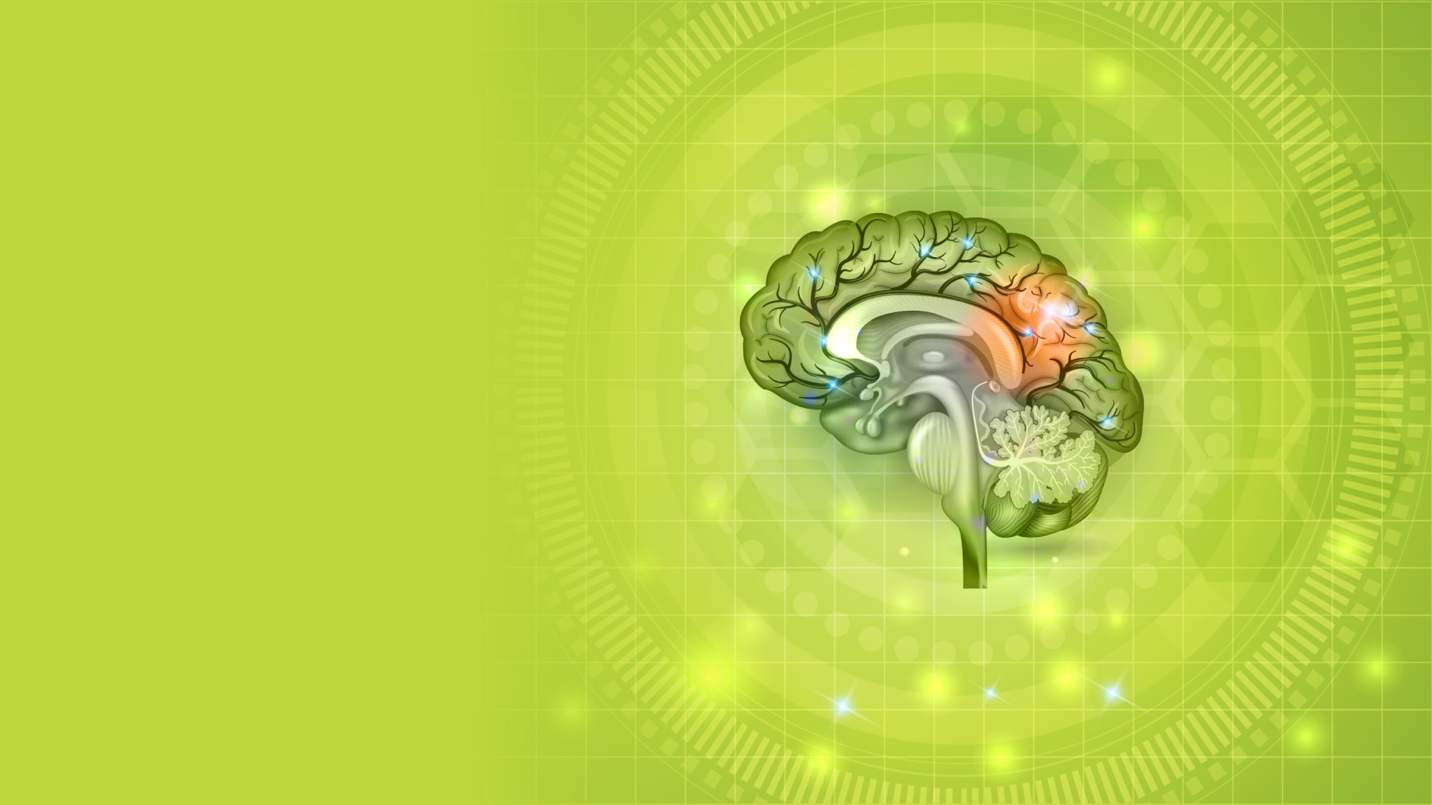 What is a Traumatic Brain Injury (TBI)? - Bancroft NeuroRehab